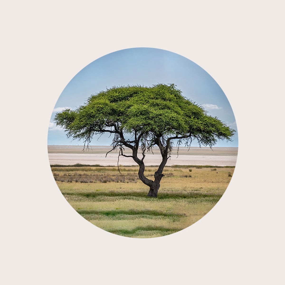 Wanjira Mathai: "This is the decisive decade" - Philanthropy Age