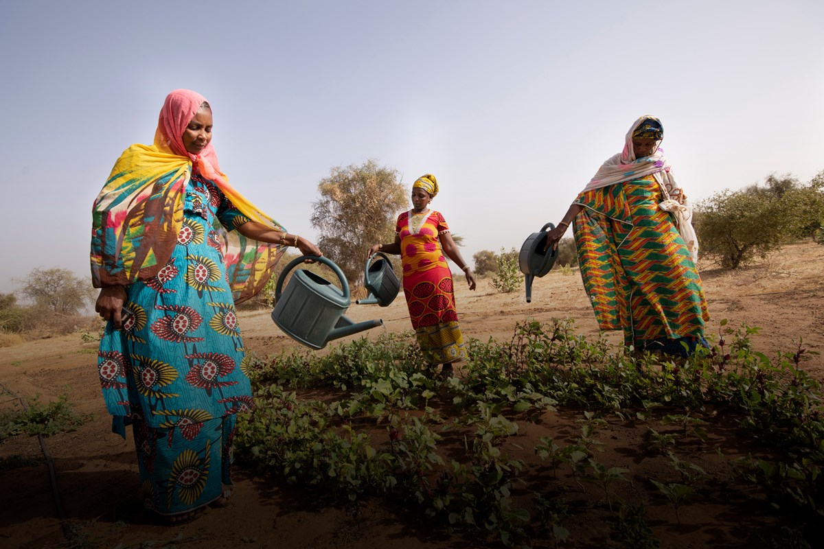 We need to change how we think about world hunger - Philanthropy Age